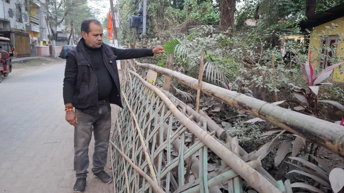 Cancer Survivor Transforms Assam's Dhubri Into A Green Zone, Plants And ...