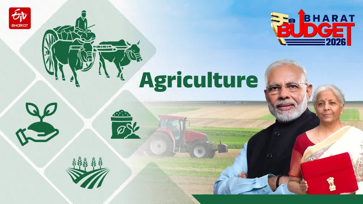Budget 2026 Agriculture Sector Allocations: What Can Farmers Expect ...