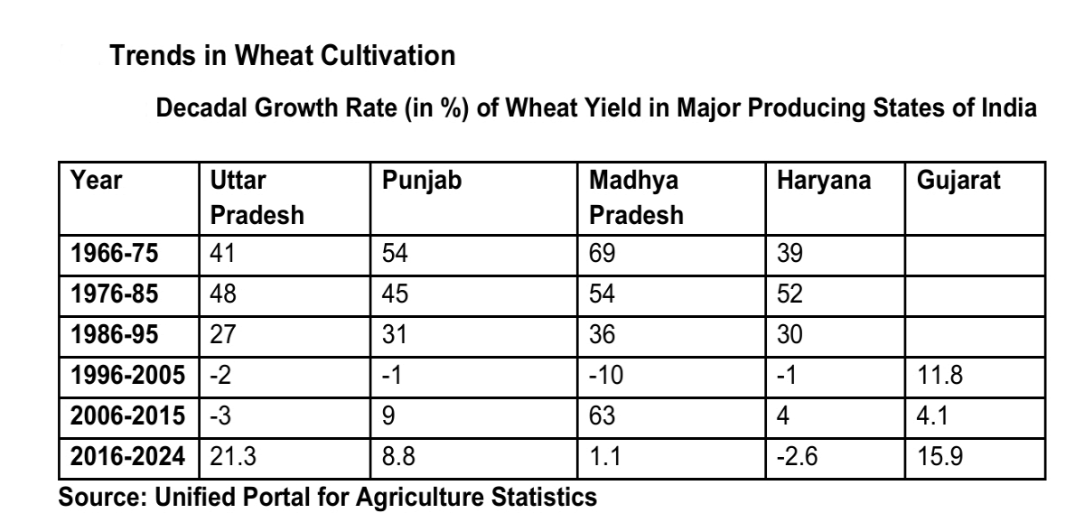 Rising Winter Heat Threatens India’s Wheat Harvest And Food Security: Study
