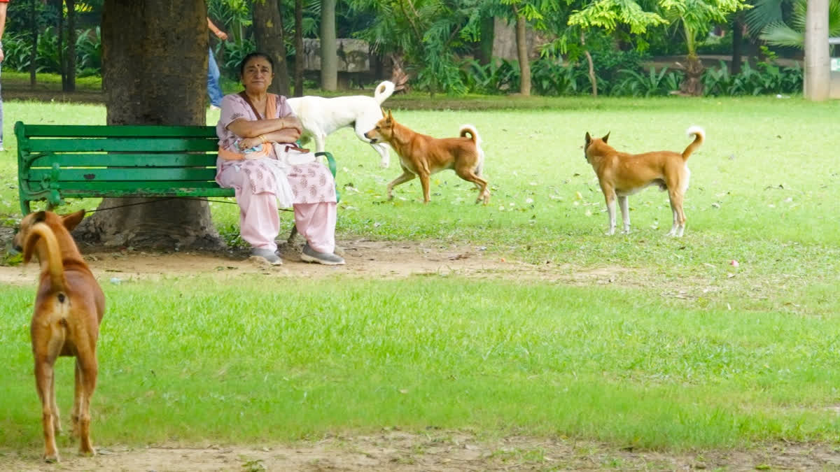 Delhi Govt Files Police Complaint Over 'Misinformation' About Teachers ...