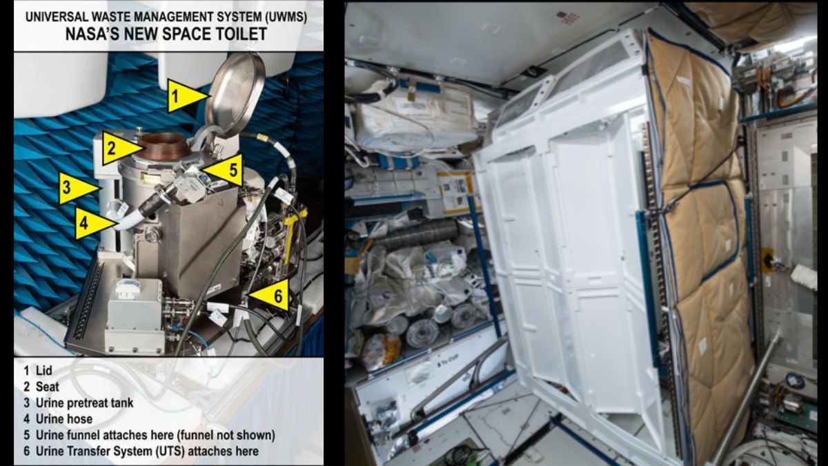 Artemis II Space Toilet Faced An Issue After Launch, Crew Fixed It Mid ...