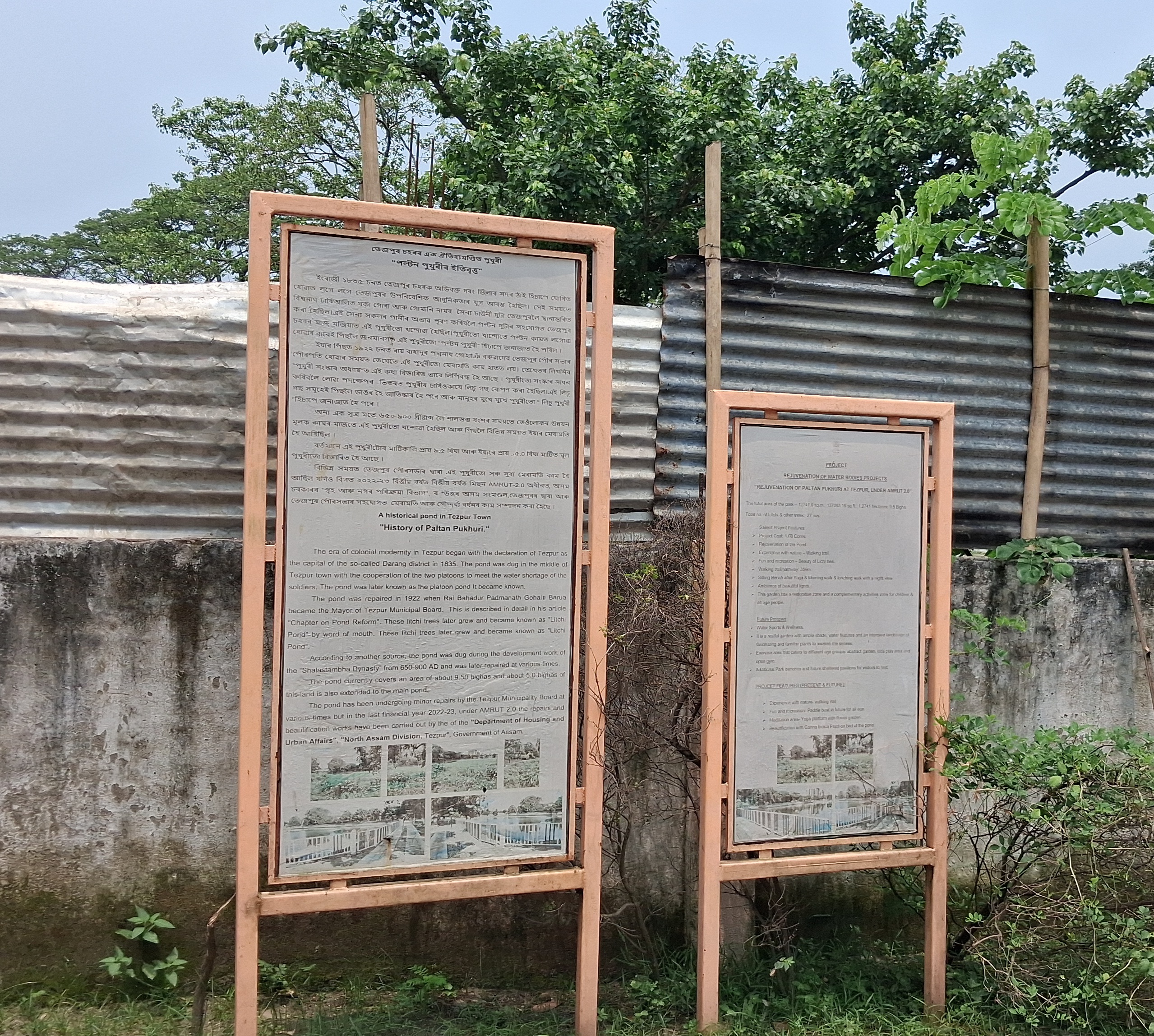 Historic Paltan Pukhuri Litchis From Tezpur Make Fresh Entry Into ...