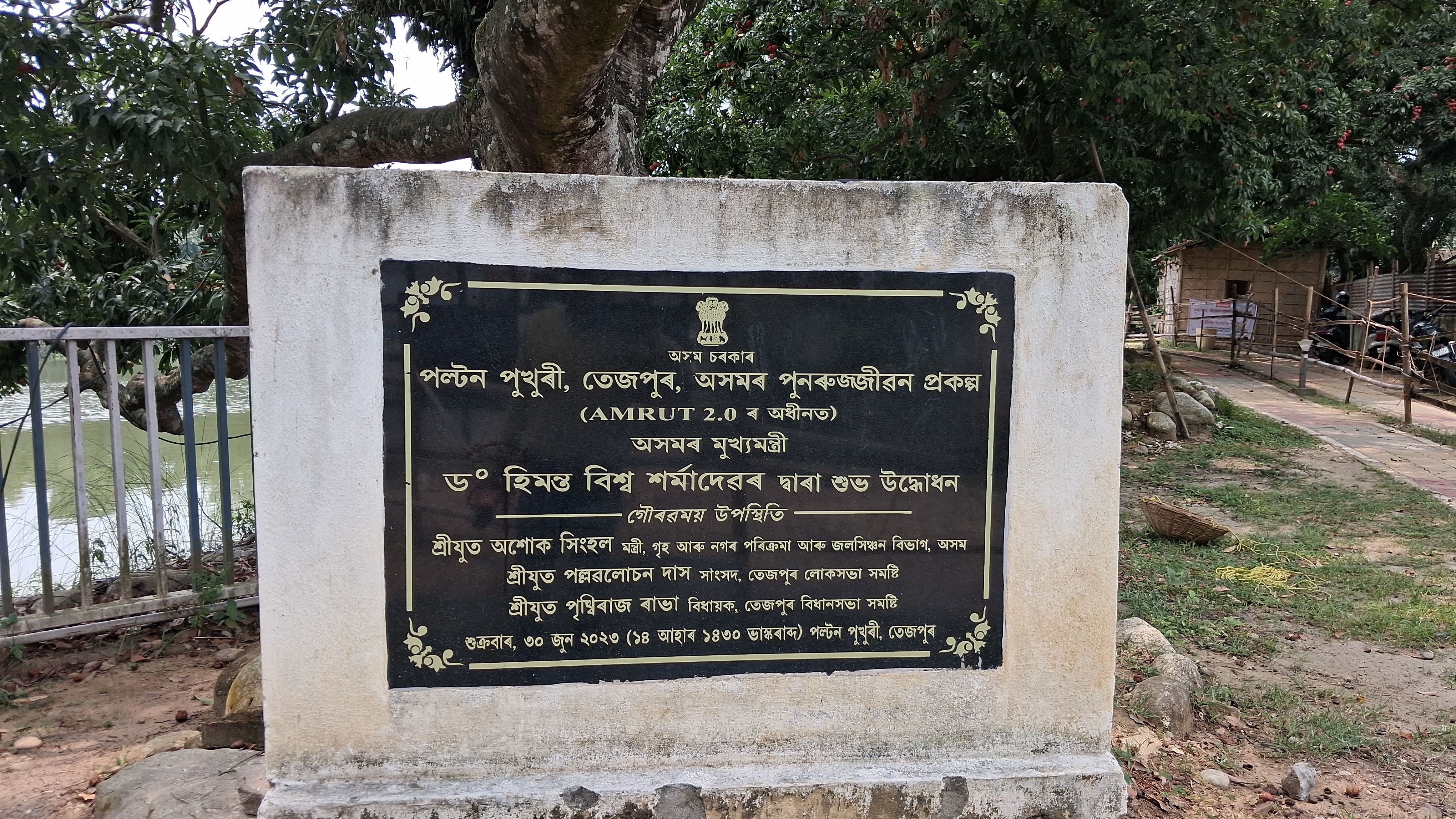 Historic Paltan Pukhuri Litchis From Tezpur Make Fresh Entry Into ...