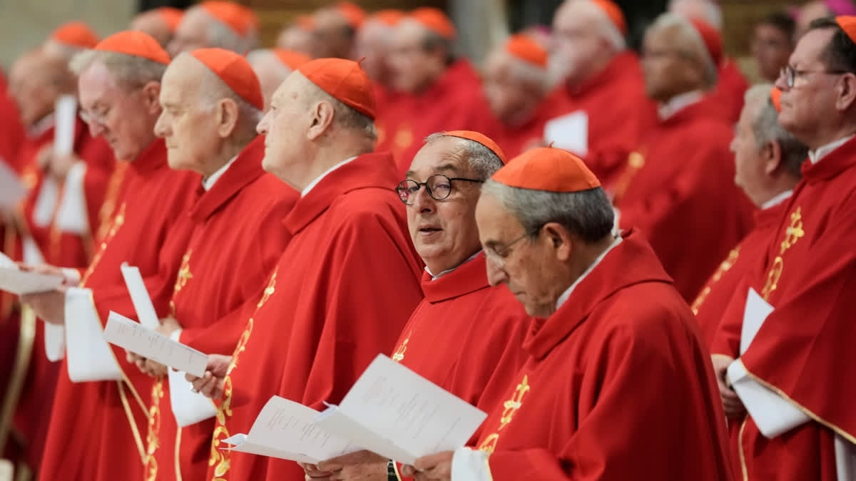 Play Your Cardinals Right: Betting On Next Pope Gains Popularity Ahead ...