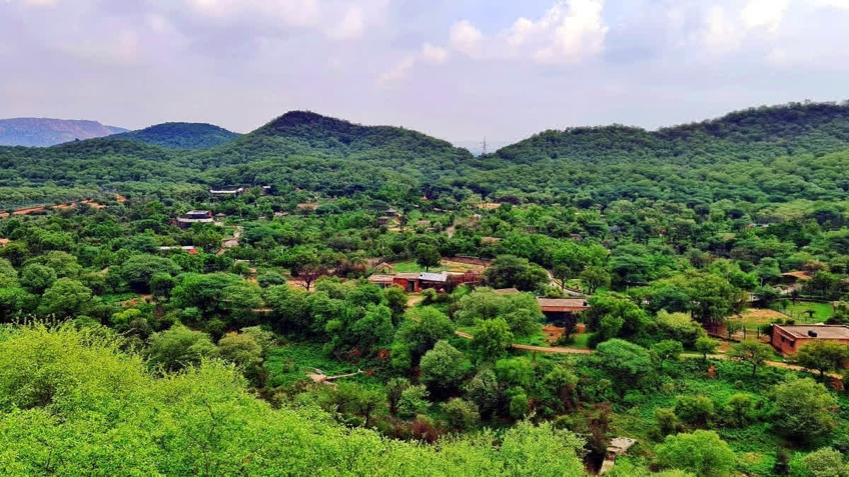 Supreme Court Forms High-powered Expert Panel To Re-examine Aravalli ...