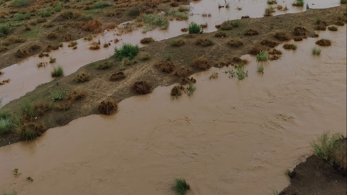मूसलाधार बारिश से बहरोड़ की साहबी नदी में 20 साल बाद आया पानी, लोगों के ...