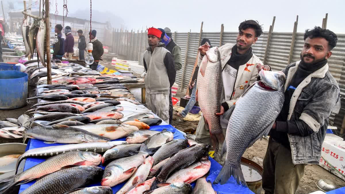 Centre Issues Fresh Guidelines For Aquaculture Under CAA