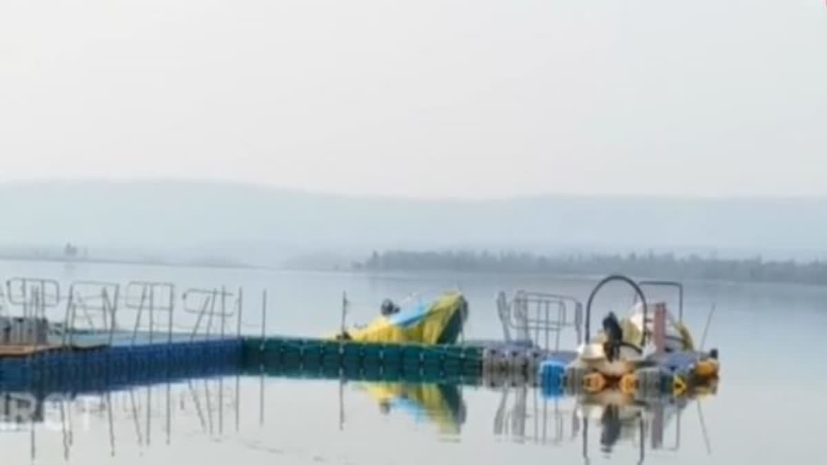 Revival Efforts Underway for Chhattisgarh's Hasdeo River Amid Power ...