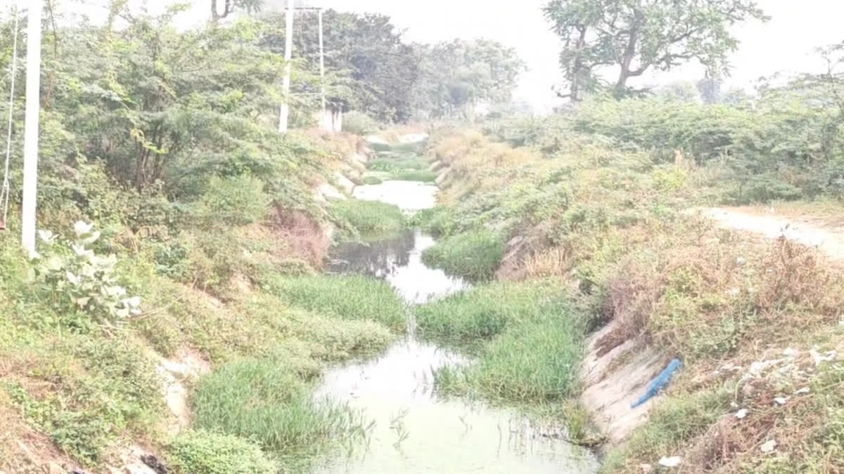 Falendi Village In Nuh District Has Become A Cancer Hotspot