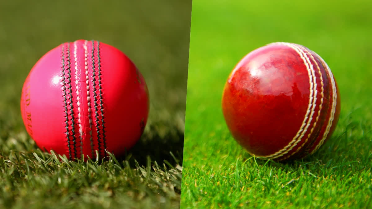Pink Ball Vs Red Ball: Key Differences As India And Australia Gear Up ...