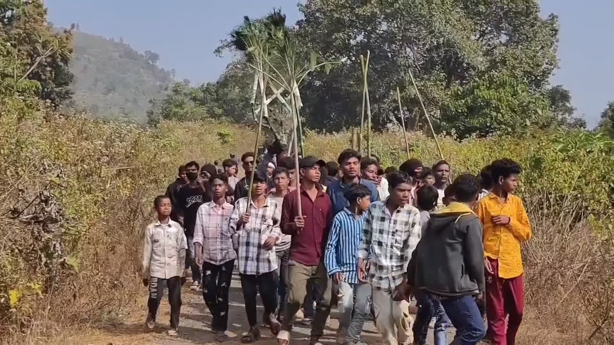 Tokimara: Odisha's Kondh Tribe's Festival Of Sacrifice And Communal ...