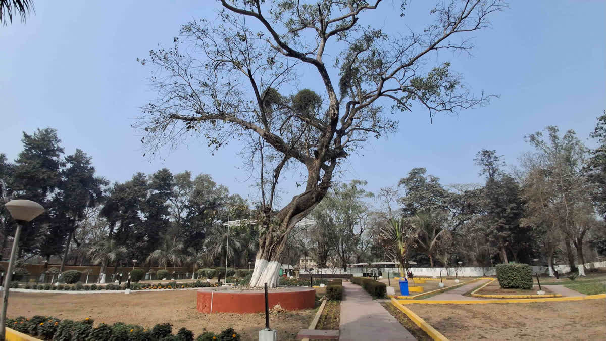 How Industrialist Sir Biren Changed Plan For Historic 'Burnpur House ...