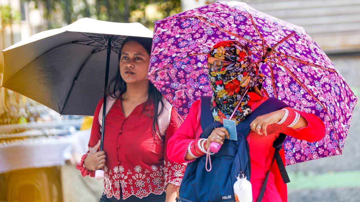 New Climate Threat: Rising Humidity Turns India's Summer Into 'Steam Room'