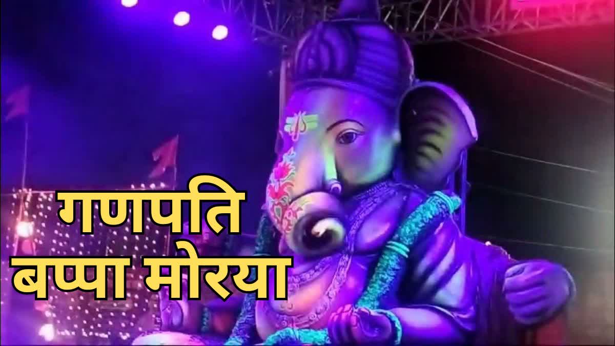कटघोरा के राजा का भव्य स्वागत, दगडू सेठ हलवाई गणपति मंदिर की तर्ज पर ...