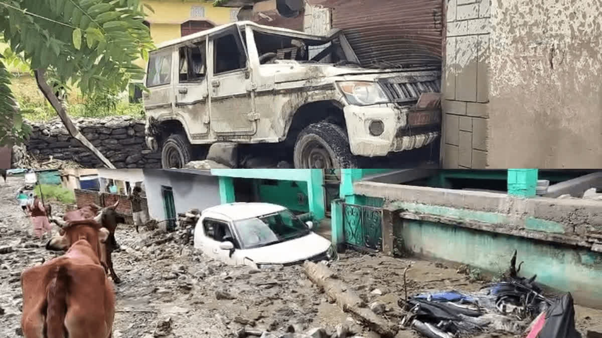 No Mandate For Government Compensation For Vehicles Damaged By Natural ...