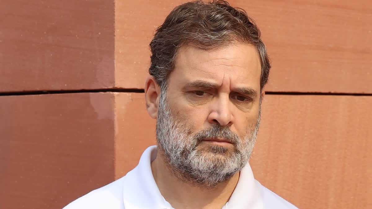 Understand The Difference: Rahul Takes Dig At Govt Over Trump's Remarks