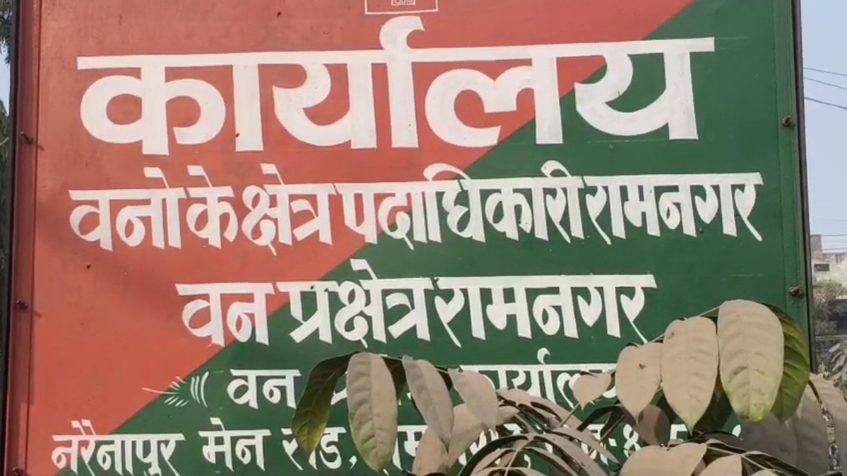 सावधान! बिहार में दौड़ा-दौड़ाकर काट रहे लंगूर, चलती गाड़ियों का कर रहे पीछा