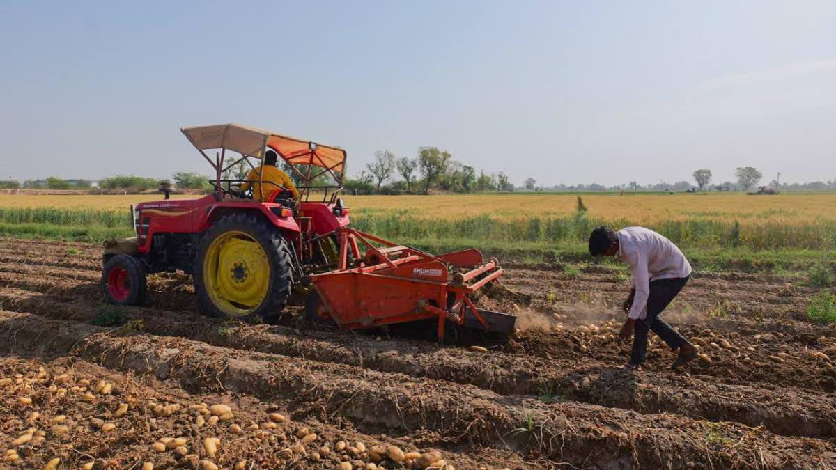 Growth Opportunities Multiply For Farmers Of UP, Bihar And MP Due To ...