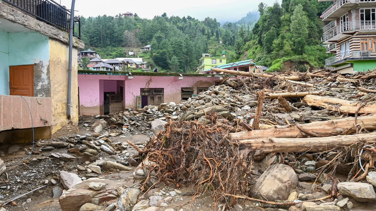 CID To Investigate Logs Floating In Pandoh Dam After Mandi Flash Floods ...
