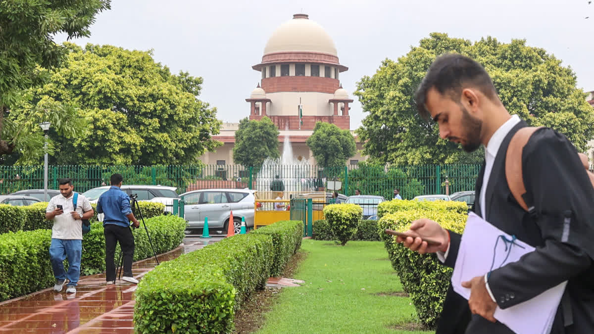 'Crime to uphold family prestige,' SC orders release of man ...