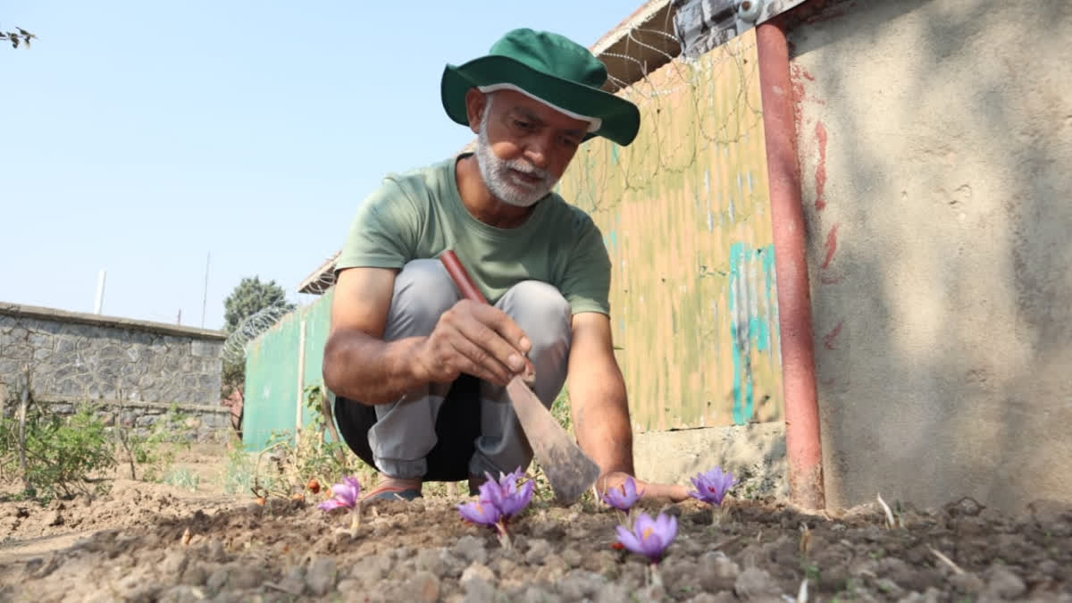 Turning Waste Into Wealth: How Kashmir's 'Garbage Man' Is Growing ...