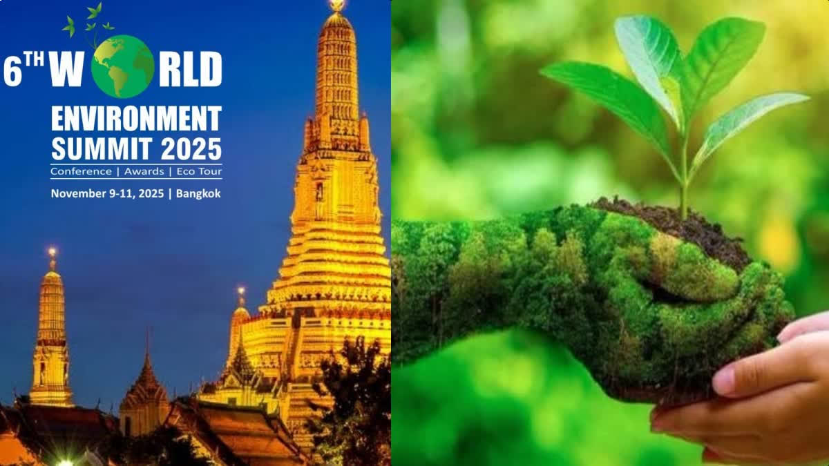 Sixth World Environment Summit: Experts From 27 Countries Will ...