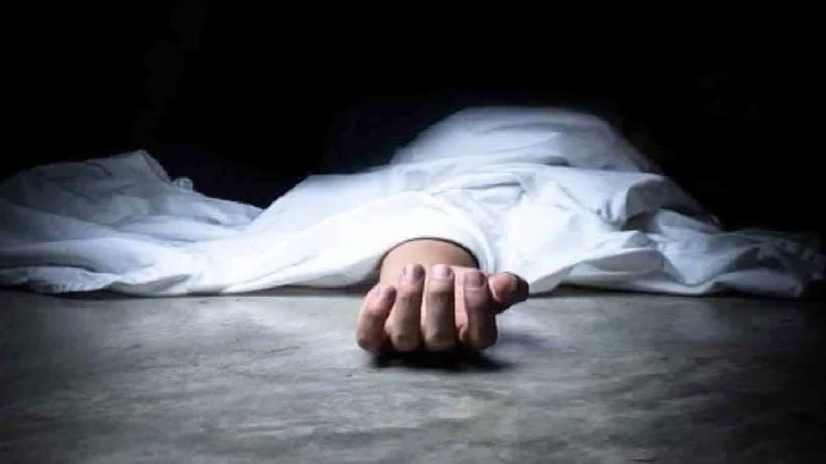 Indian-Origin Couple, 9-Yr-Old Son Die After Falling From Luxury ...