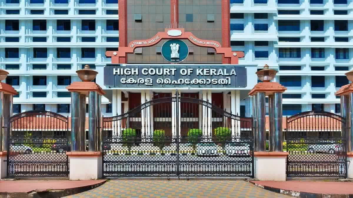MSC Elsa-3 Shipwreck: Kerala HC Permits Three Foreign Sailors To Leave ...