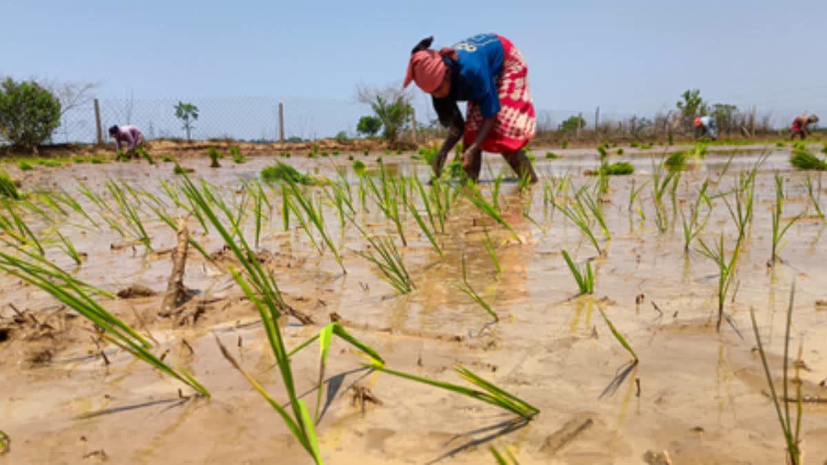 NAAS Stresses Water Auditing For Better Resource Management