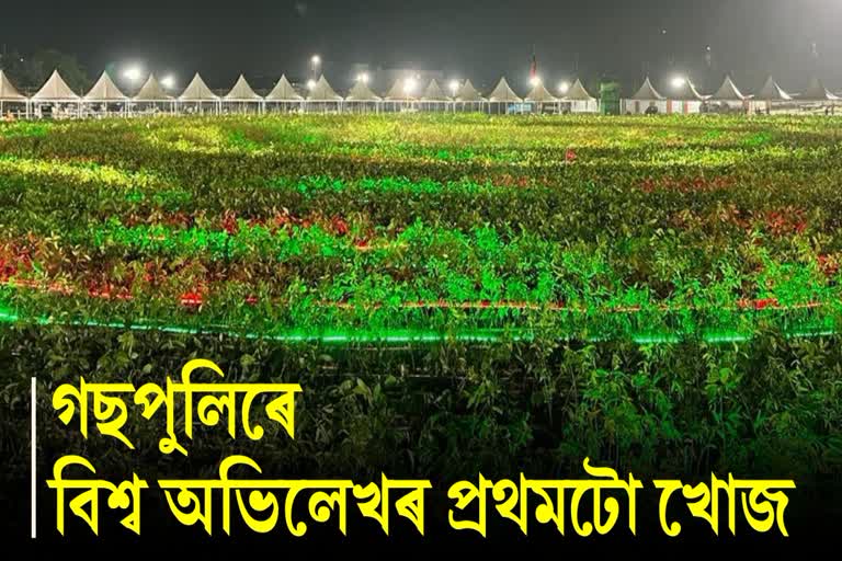 Amrit Brikshya Andolan: বিশ্ব অভিলেখৰ চেষ্টা; খানাপাৰত 23 কি.মি ...