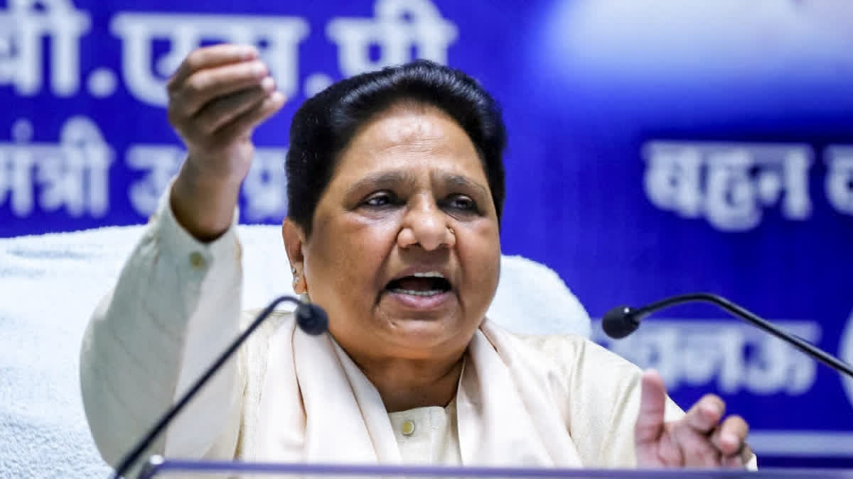 Haryana Polls: Mayawati Blames 'Casteist' People of Jat Community for ...