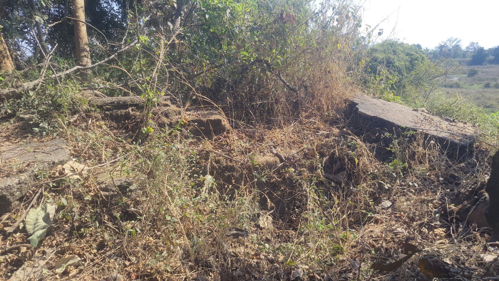 Why Is Faskuda, Sambalpur's Forgotten Execution Island Erased From ...