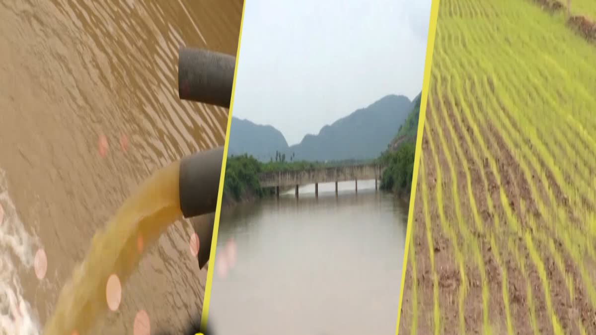 పట్టిసీమకు గోదావరి పరవళ్లు - ఆనందంలో అన్నదాతలు - Pattiseema Lift ...