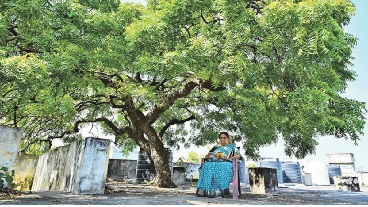 Ongole Man Builds Three-Storey House Around 100-Year-Old Neem Tree ...