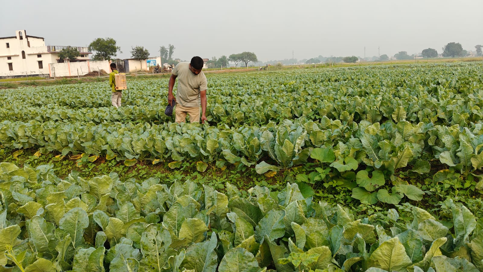 Gorakhpur Farmer Dispels Notion Of Farming Not Being Remunerative