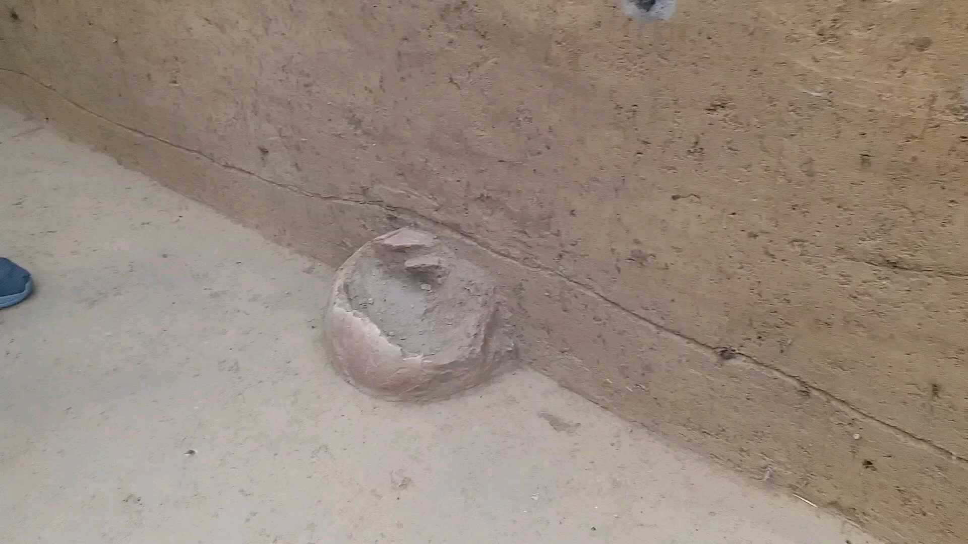 ASI Excavations Unearth Remains At 3rd Century Ashwamedha Yagna Site In ...