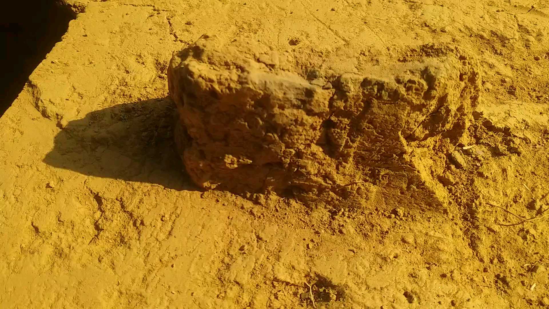 ASI Excavations Unearth Remains At 3rd Century Ashwamedha Yagna Site In ...