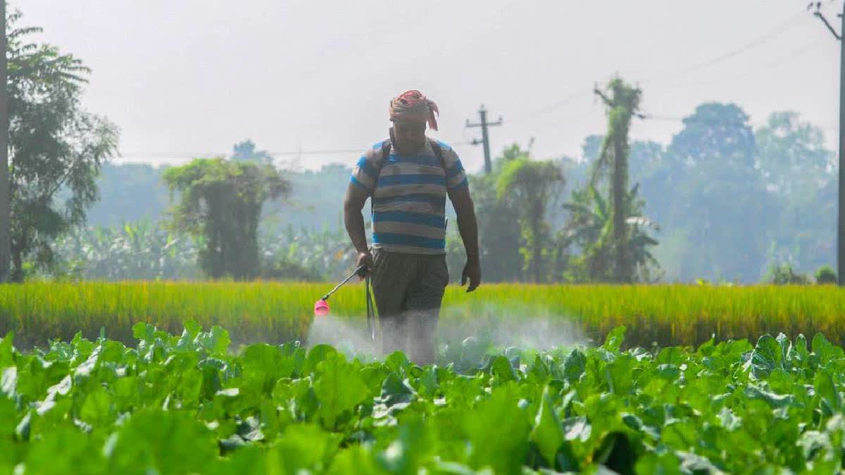 ICAR-IARI Develops AI-Powered Robots To Tackle Farm Labour Crisis And ...