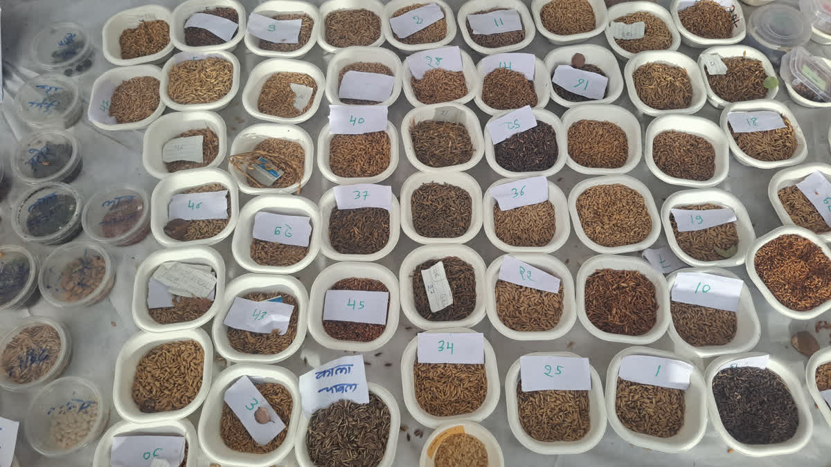 2 Bihar Farmers Preserve 52 Rare Indigenous Seed Varieties Including ...