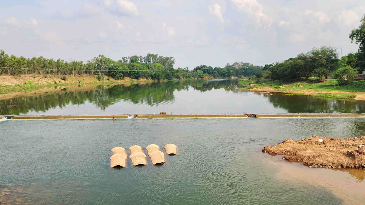 Troubled Waters: Why Bastar’s Lifeline The Indravati River Is Drying Up ...