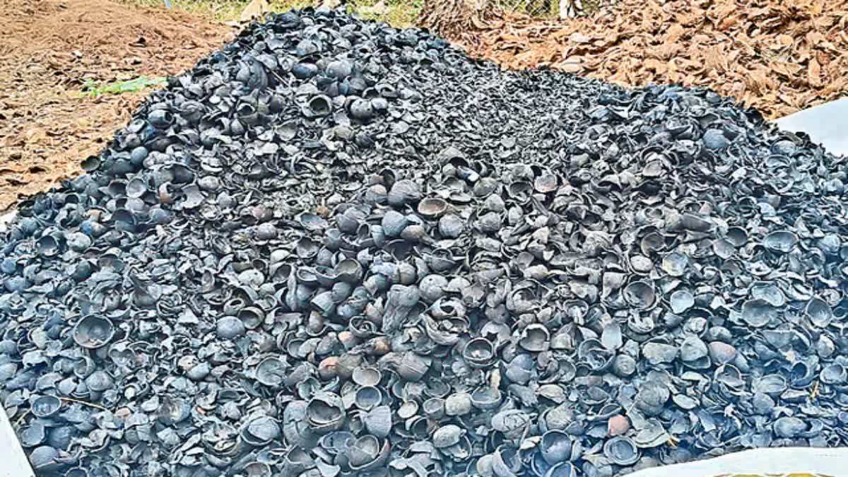 టన్ను రూ.25 వేలు - రైతుకు ఆదాయం తెచ్చి పెడుతున్న కొబ్బరి చిప్పలు