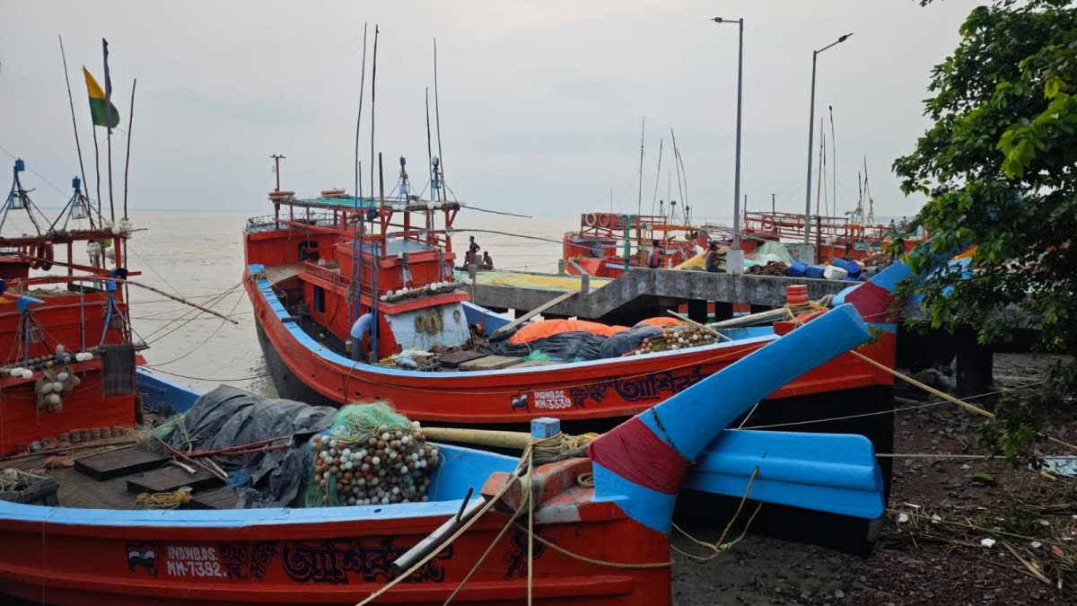 बंगाल के मछुआरे फिर से हिल्सा मछली पकड़ने गहरे समुद्र में जाने को तैयार