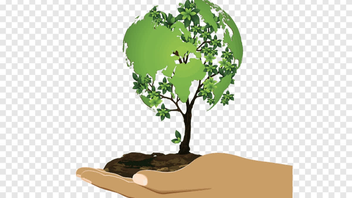World Quality Day 2024: Respecting The Art Of 'Quality' Management