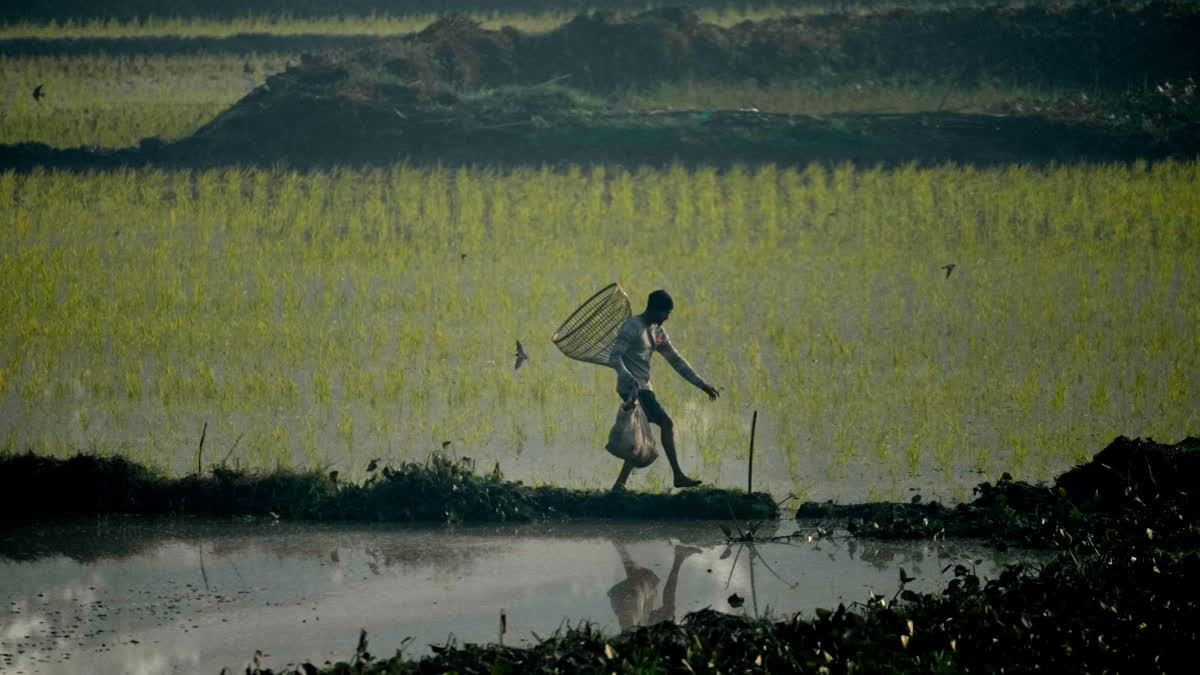 In Frames | Villagers Participate In Community Fishing During Bhogali ...