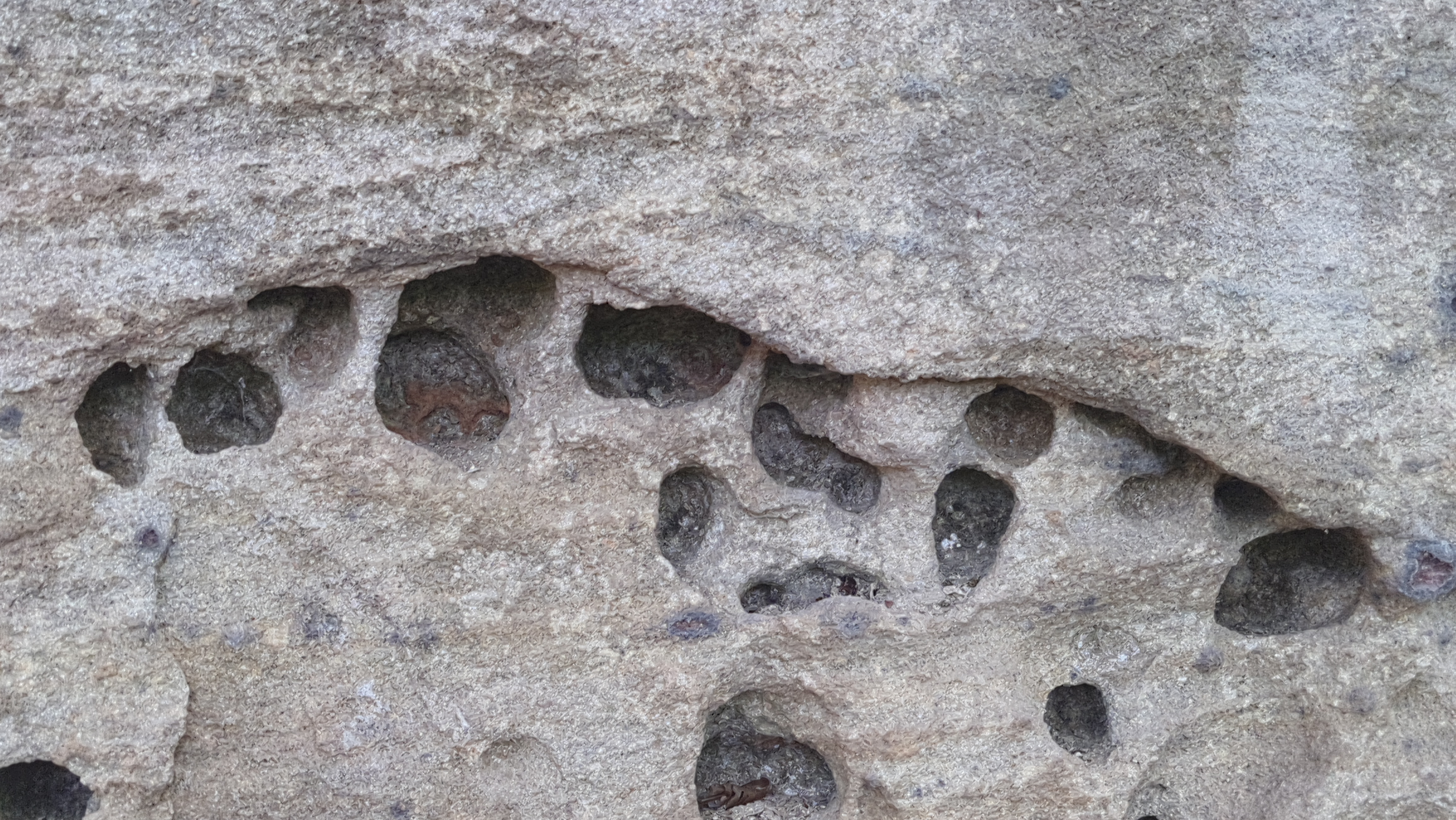 15,000-Year-Old Human Settlement Found In Odisha’s Bhima Mandali Caves ...