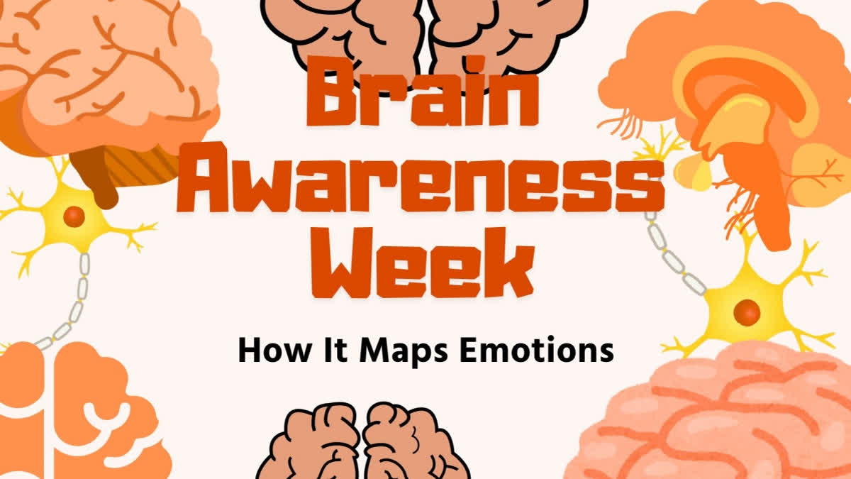Brain Awareness Week 2026: How The Brain Creates A Map of Our Emotions