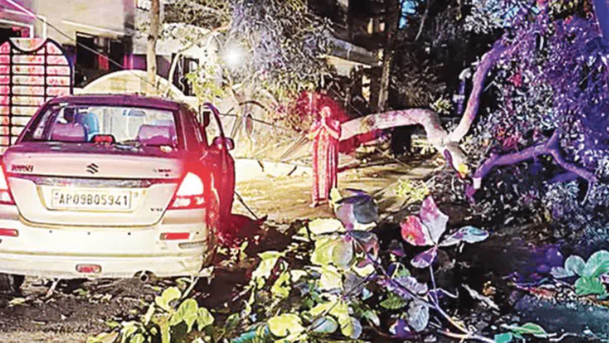 Man, Daughter Electrocuted As Tree Falls On Car In Hyderabad