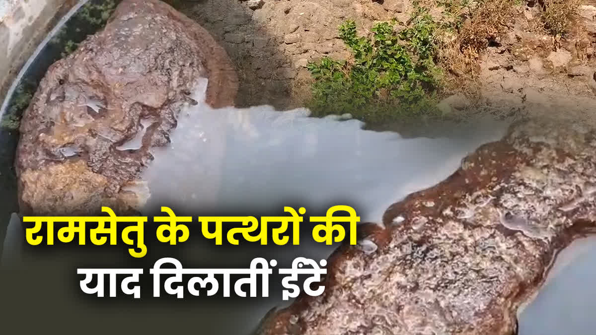 रामसेतु के पत्थरों की याद दिलातीं अमरावती की ईंटें: पानी में डूबतीं ...
