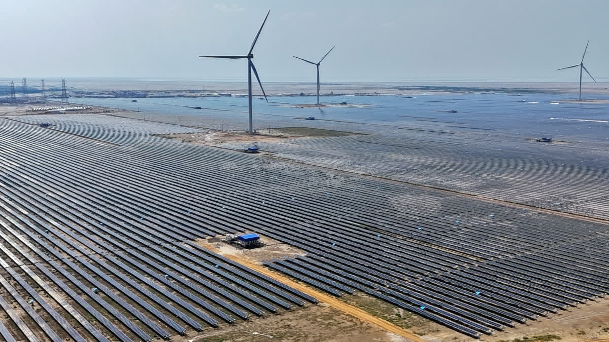 Solar Powerhouse: Rajasthan Contributes Over 27 pc To National Solar ...