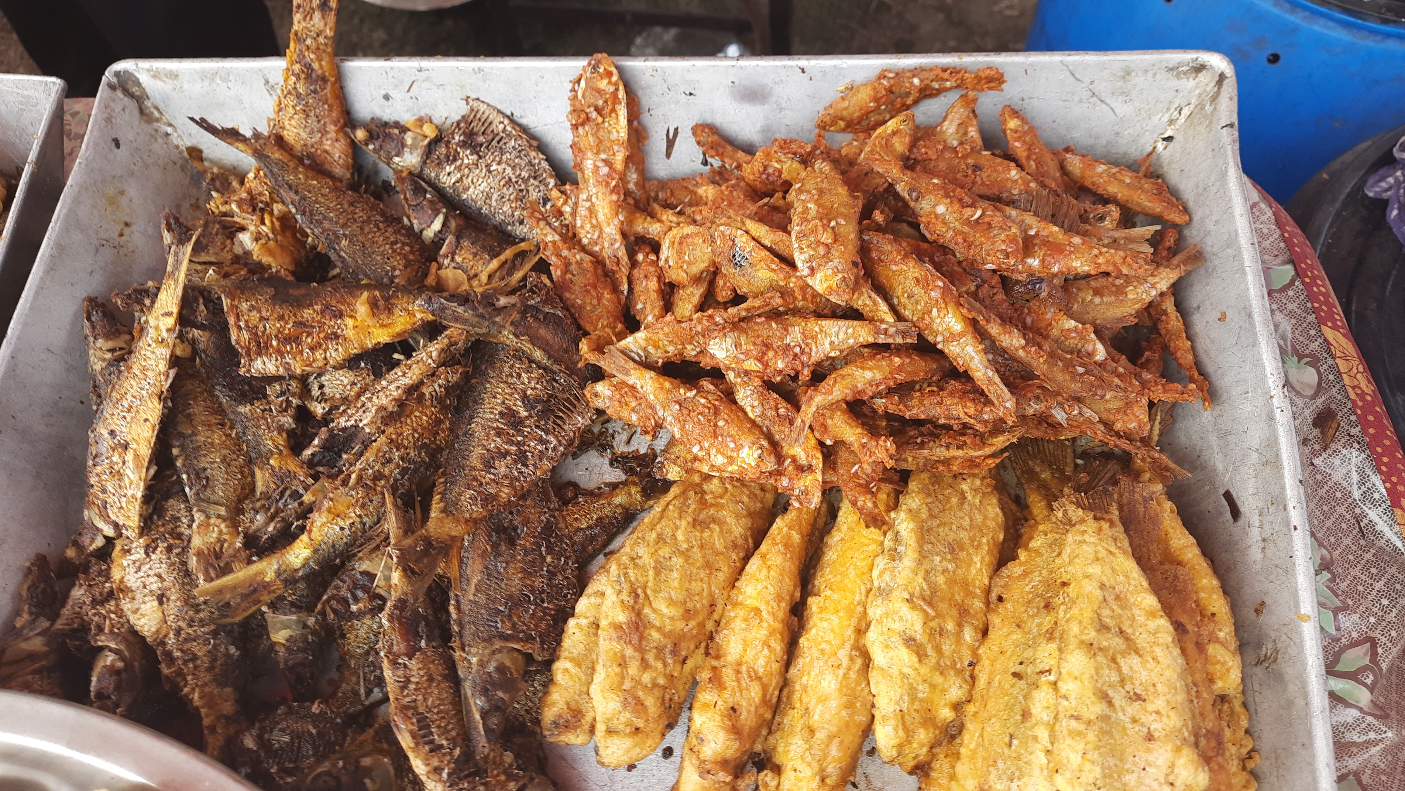 Unique 500-Yr-Old Fish Fair At West Bengal's Debanandapur During ...